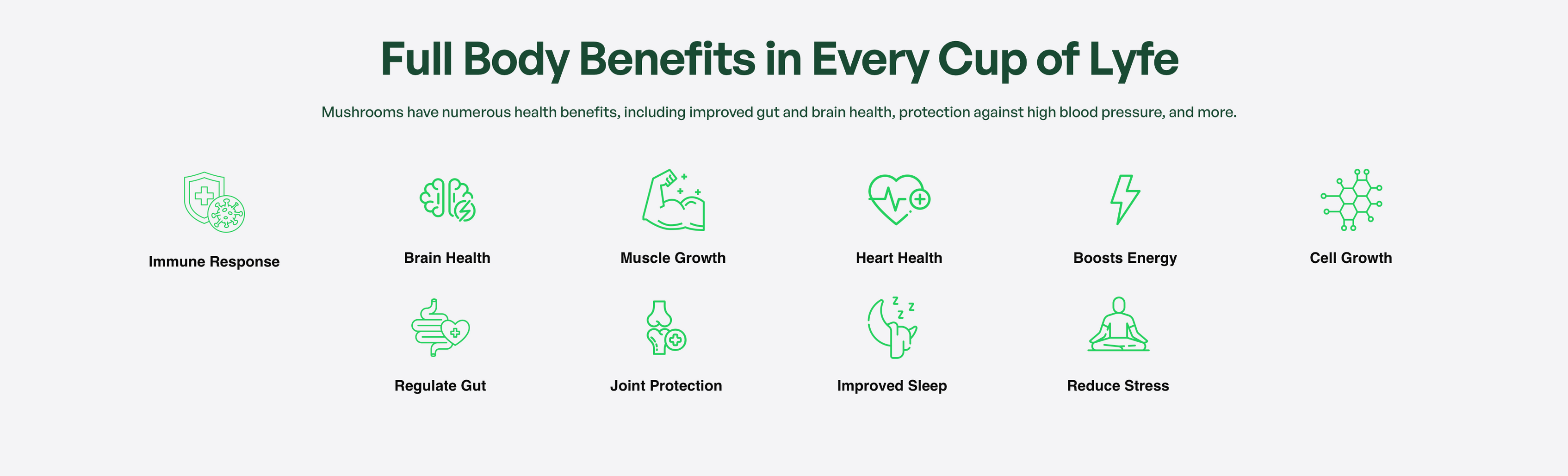 Lyfe Brew - Instant Arabica Mushroom Coffee